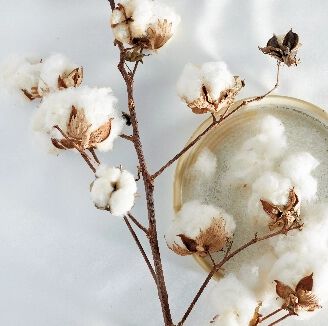 The Towel Guide | The Company Store